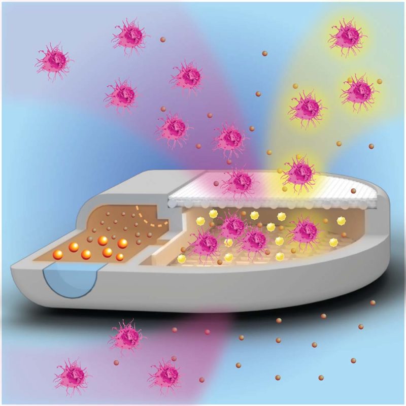 Grattoni Lab - Implantable devices for drug delivery