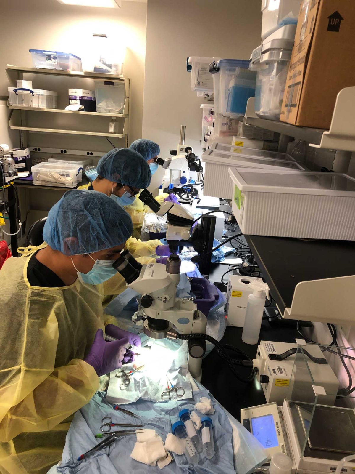 Join us! - Grattoni Lab | Houston Methodist